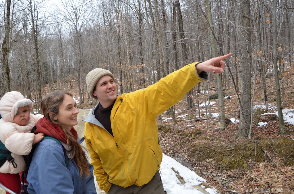 Tapping the Sugar Maple Trees – MorningSun